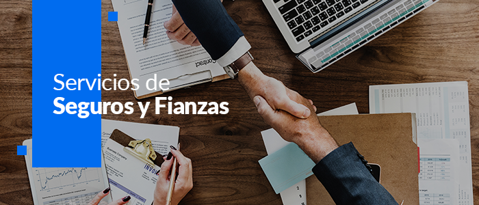 Servicios de seguros y fianzas - Planilla Bi